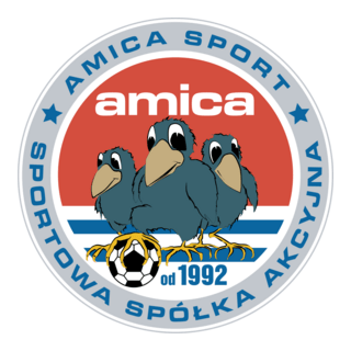 Amica Logo PNG Vectors Free Download