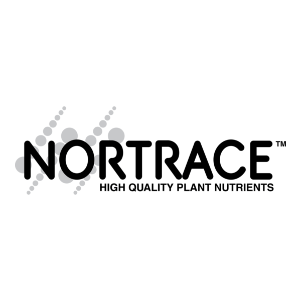 Nortrace Logo PNG Vector (EPS) Free Download