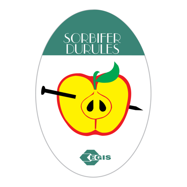 Sorbifer Durules Logo PNG Vector (EPS) Free Download