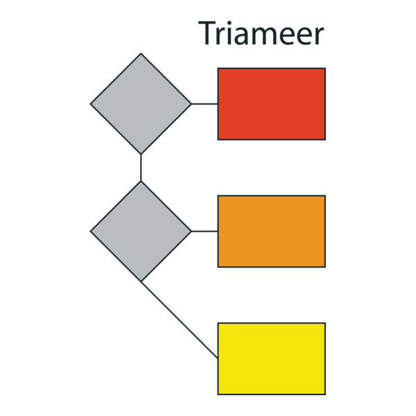 Triameer Logo PNG Vector (EPS) Free Download