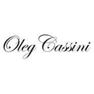 CASSINI Logo PNG Vector (CDR) Free Download