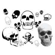 BIRD BRO (BIRDBRO) Logo PNG Vector (SVG) Free Download