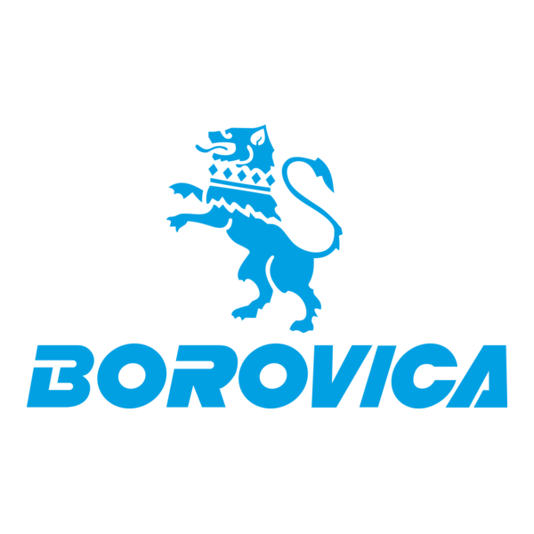 Borowitz Logo PNG Vector (CDR) Free Download