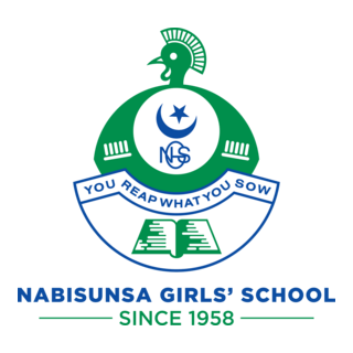 Nabisunsa Logo PNG Vectors Free Download