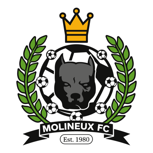 Molineaux Pitbulls Logo PNG Vector (PDF) Free Download